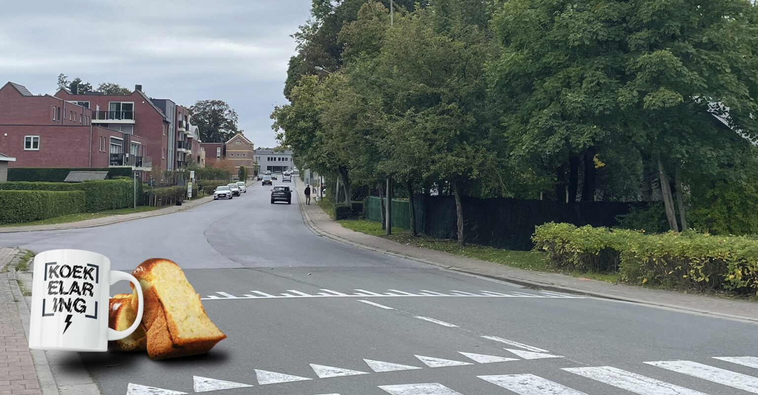 Zottegem – Arthur Gevaertlaan: deels eenrichtingsverkeer – NUUS