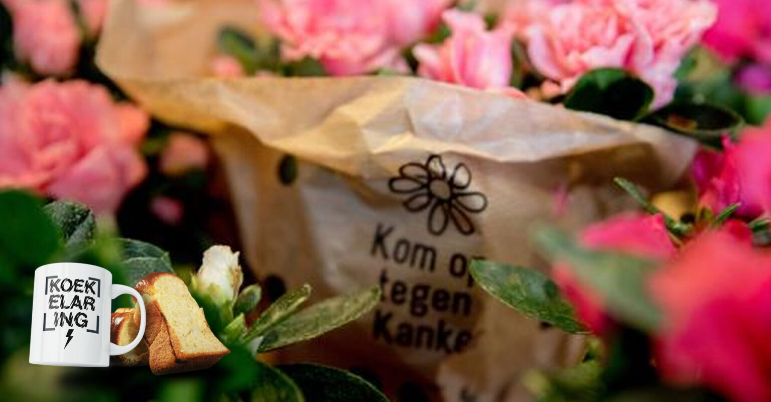 Ook Zottegem verkoopt azalea’s voor ‘Kom op tegen Kanker’ – NUUS