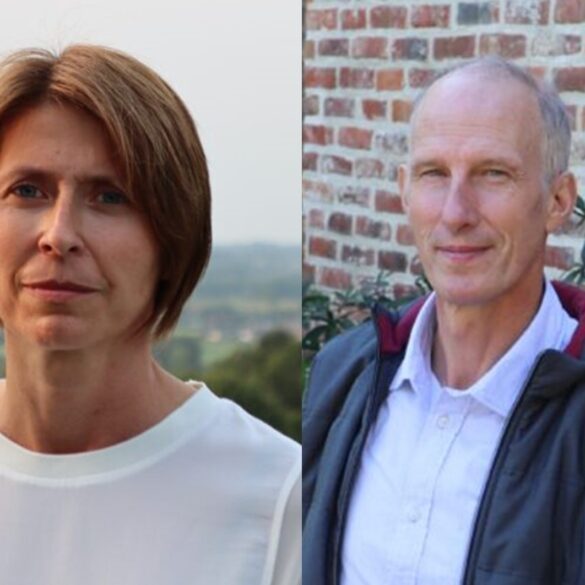 Carnaval Zottegem-centrum: opnieuw gewijzigd parcours - NUUS