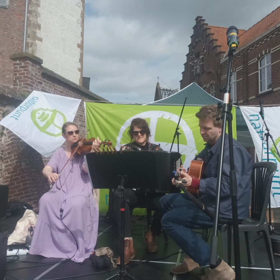 Zottegem – Groen licht voor aangepast stadionproject - NUUS