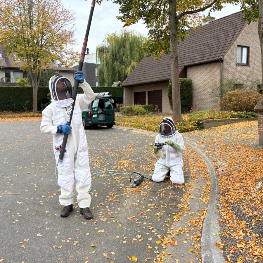Twee groepen maken amok in hartje Geraardsbergen: “Onderzoek is lopende ...